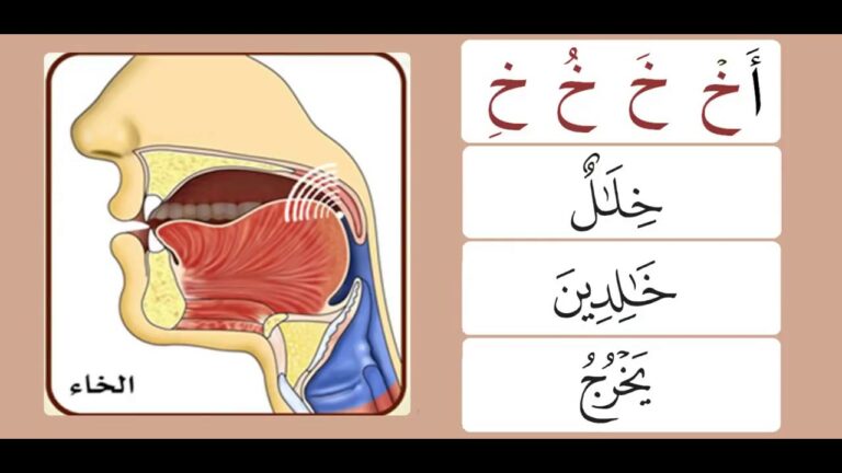 Exploring the Articulation Points of Arabic Letters - Al-dirassa - Best ...